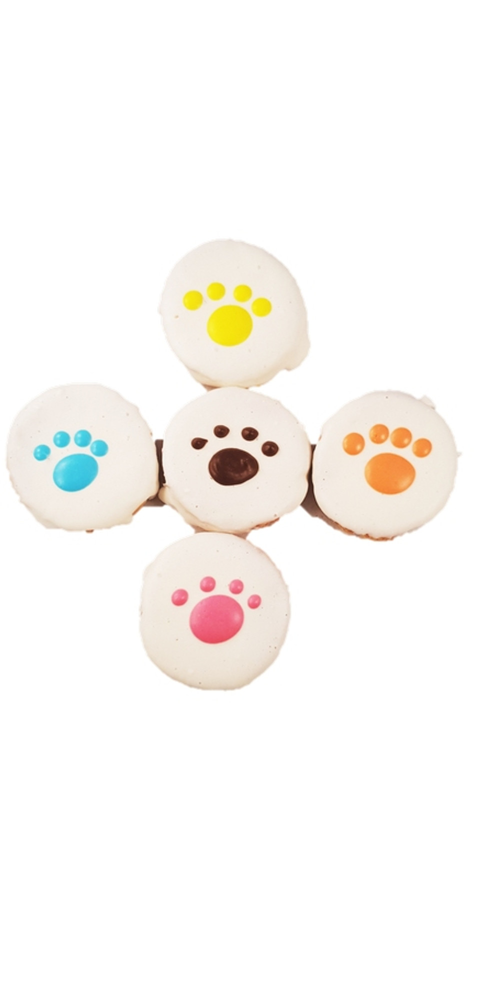 CHEESY PAWS DOG COOKIE TREATS 1pce - Individually Wrapped | The ...